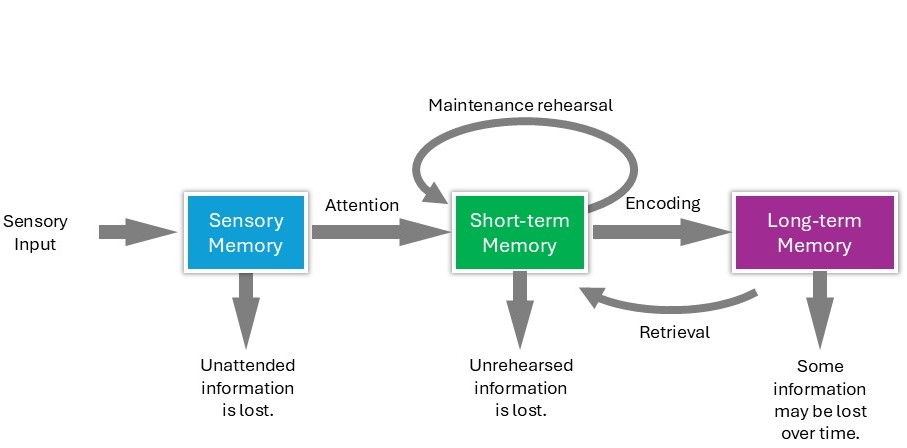 🧠 Memory Definition in LLM Applications | Zhang Handuo's Site